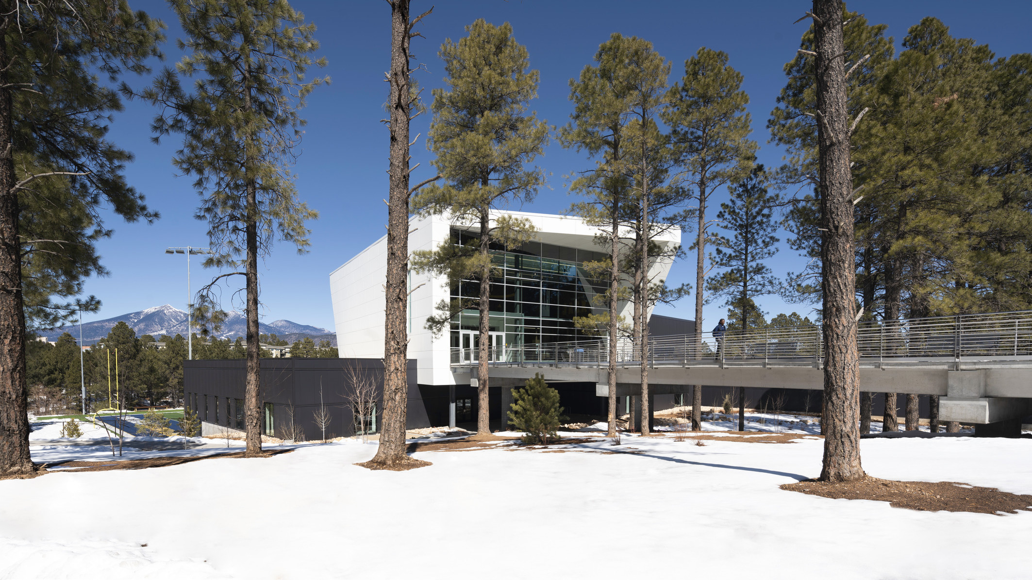 NAU Student-Athlete High Performance Center on ArchDaily - DLR Group